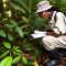Impact of Climate Change on Nigeria's Environment